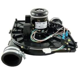 Carrier Inducer Motor - 320725756 | HVACDirect.com