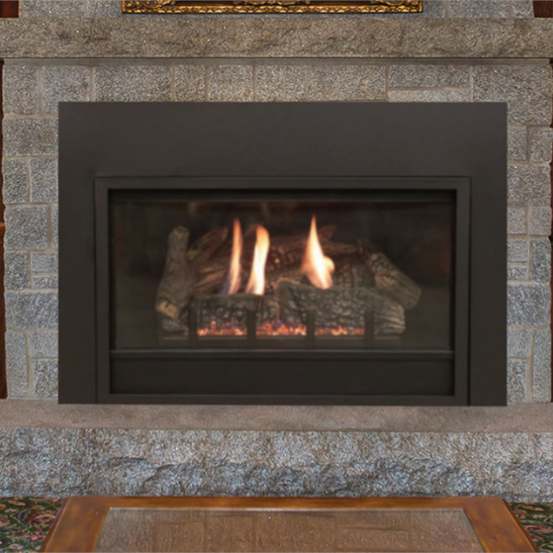 Empire Innsbrook Gas Direct Vent Fireplace Insert Small - 29" - DVC20IN ...