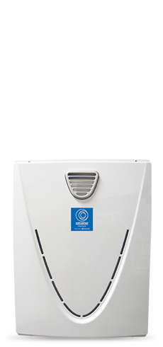 State Water Heaters 540P 199 BTU Series Outdoor Condensing Tankless ...